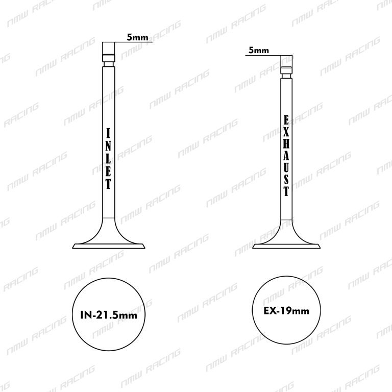 YAMAHA R15 V3 / MT15 RACING VALVES BY NMW - nmwracing.com